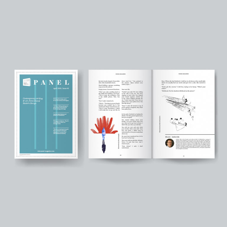 Issue #5 – Panel Magazine